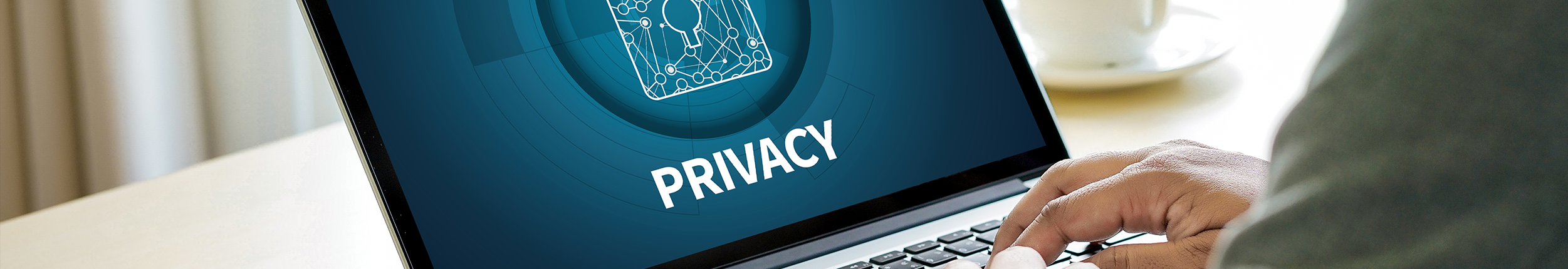 Privacy Policy | The American List